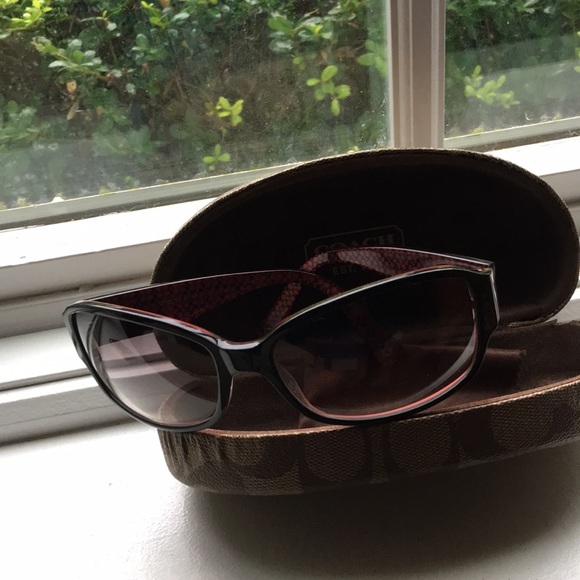 Coach | Accessories | Coach Dina Sunglasses | Poshmark